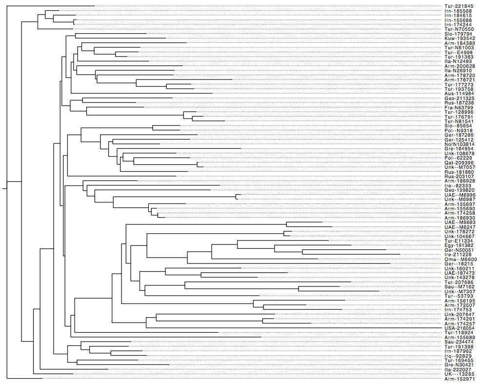 KurdishDNA: Haplogroup Tree J1 STR67