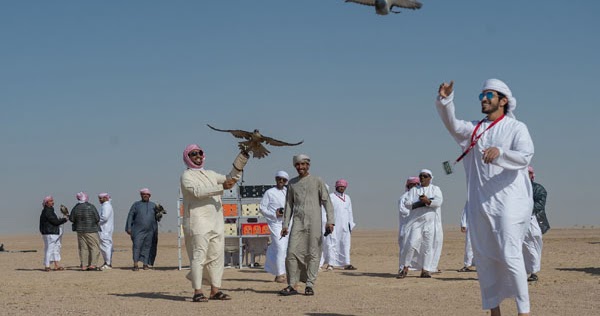 anime-lix: Falconry Shows - Entertainment in Tradition