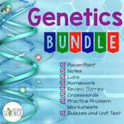 Amy Brown Science: Store