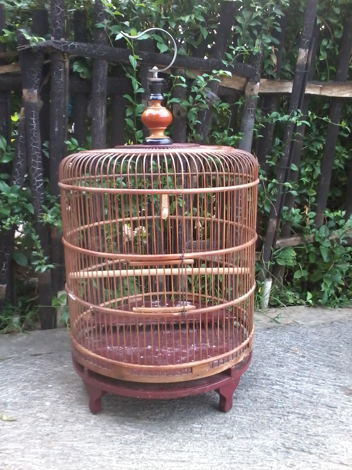 Sangkar Burung Unik Dan Cantik - Perumperindo.co.id