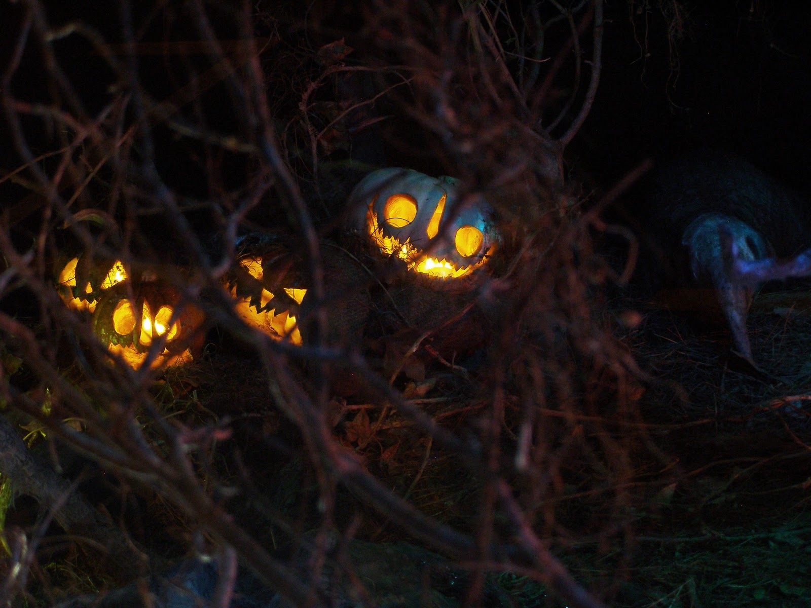 The House of Marrow: Marrow House 2011 - The Second Great Plague