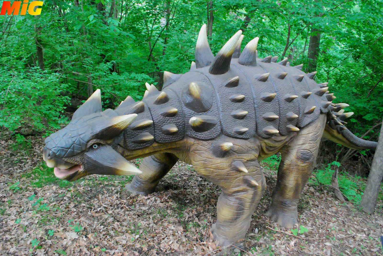 MidwestInfoGuide: Dinosaurs Alive (WOF)