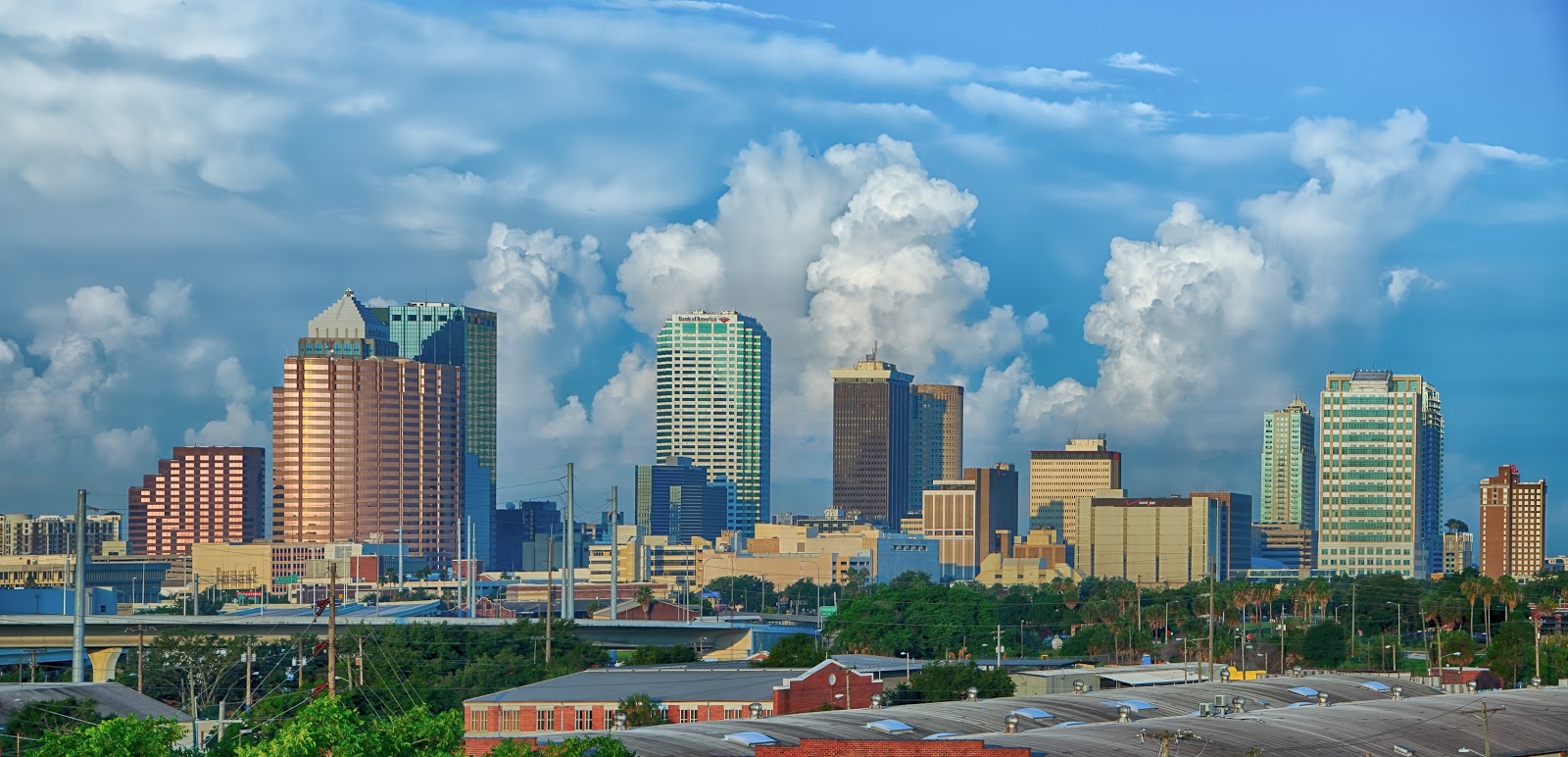 Lynn Wiezycki Photography: Downtown Tampa Skyline