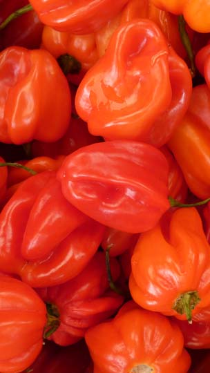 Fluffy Chix Cook The Basics: Let's Chile Wrangle! (AKA Skinning Chiles)