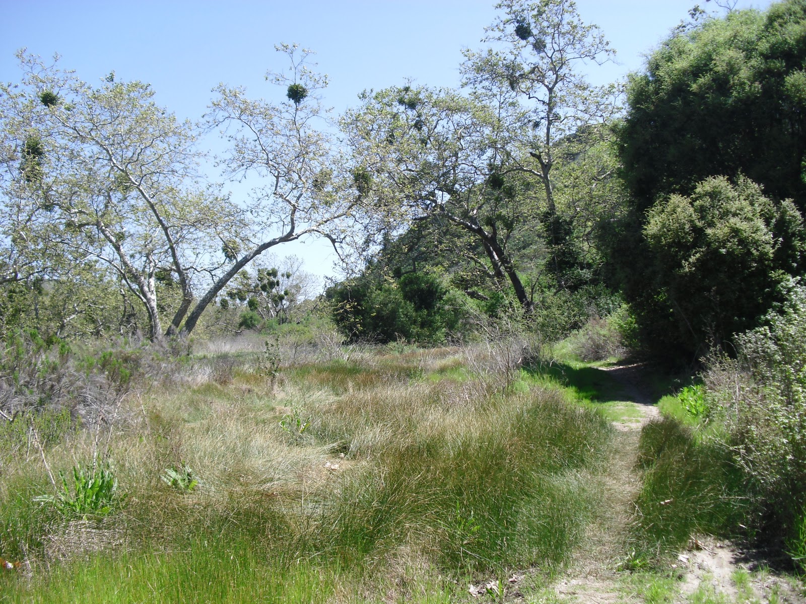 Walking Here and There!: Lopez Canyon (#55)