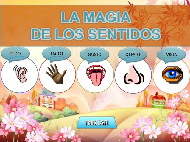 CONOCIENDO LOS SENTIDOS : LOS SENTIDOS ANIMADOS