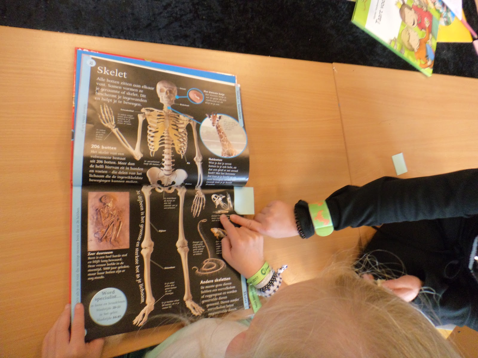 Het eigen lijf verkennen