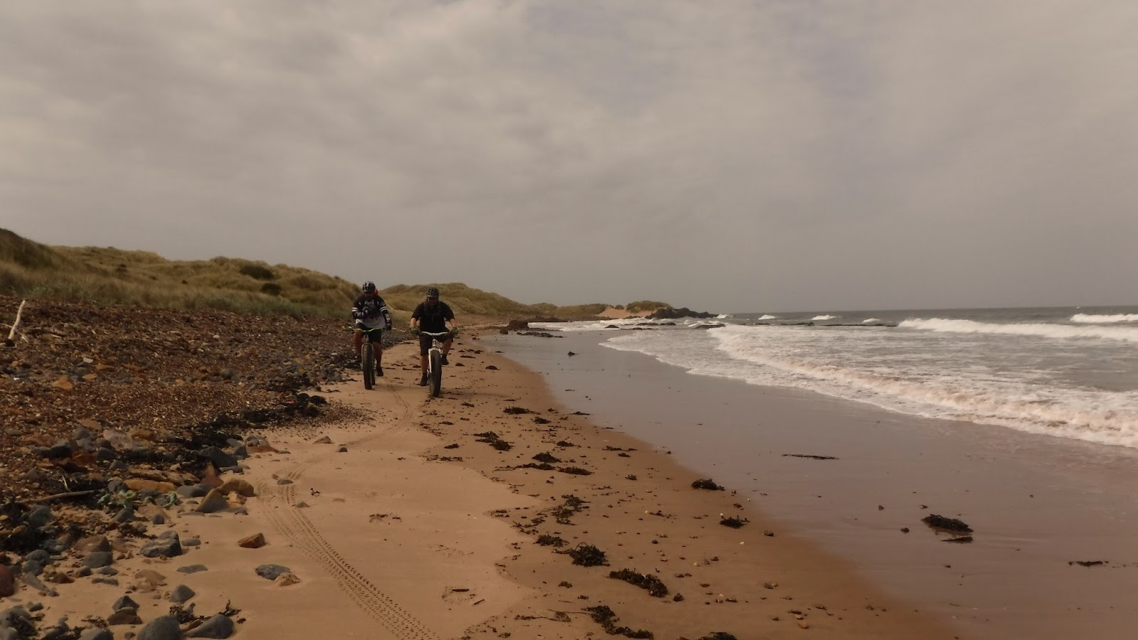 coastrider: Surly Wednesday update...