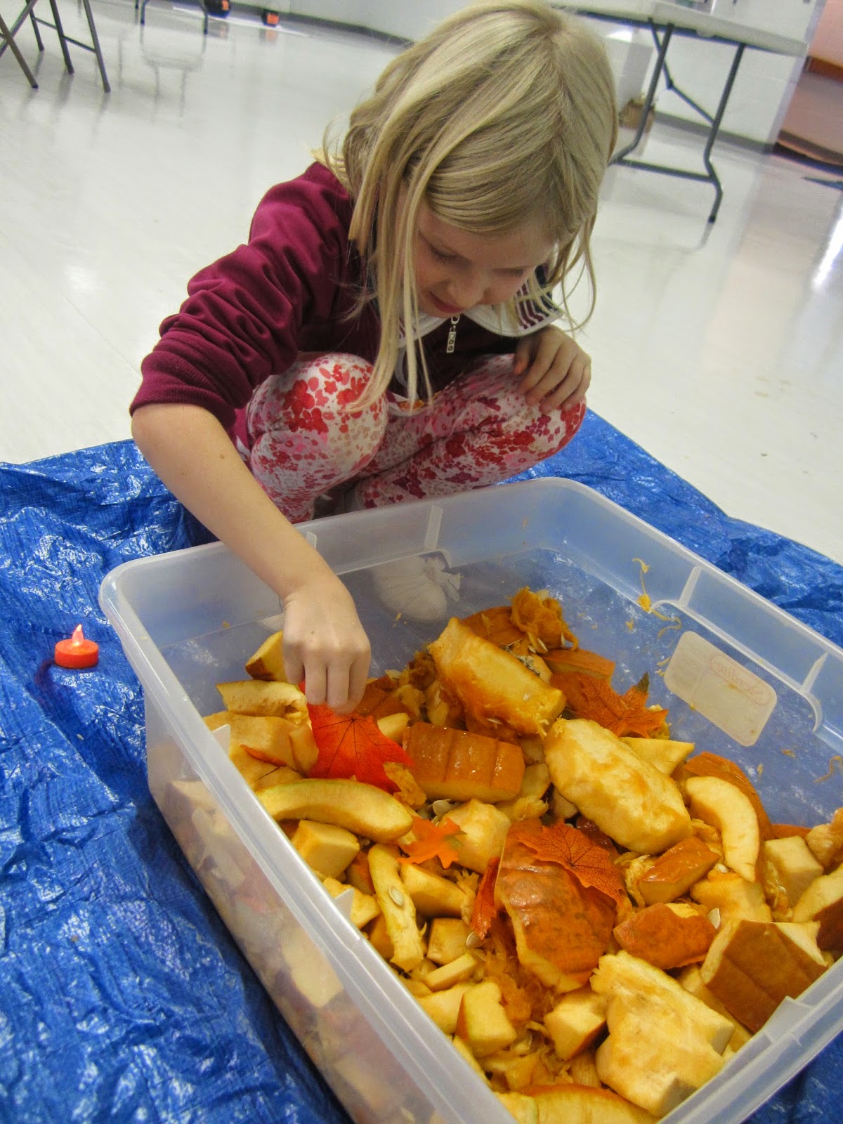 Fall Creek Public Library: Stories to Tell: Family Fun Day