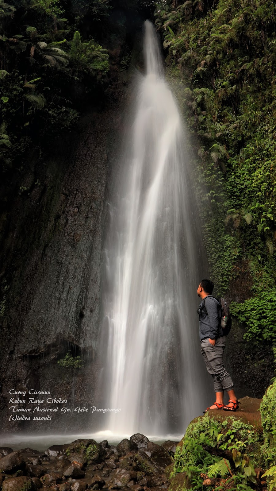 Liburan tahun baru di Kebun Raya Cibodas, Mengunjungi Curug Cibogo dan ...