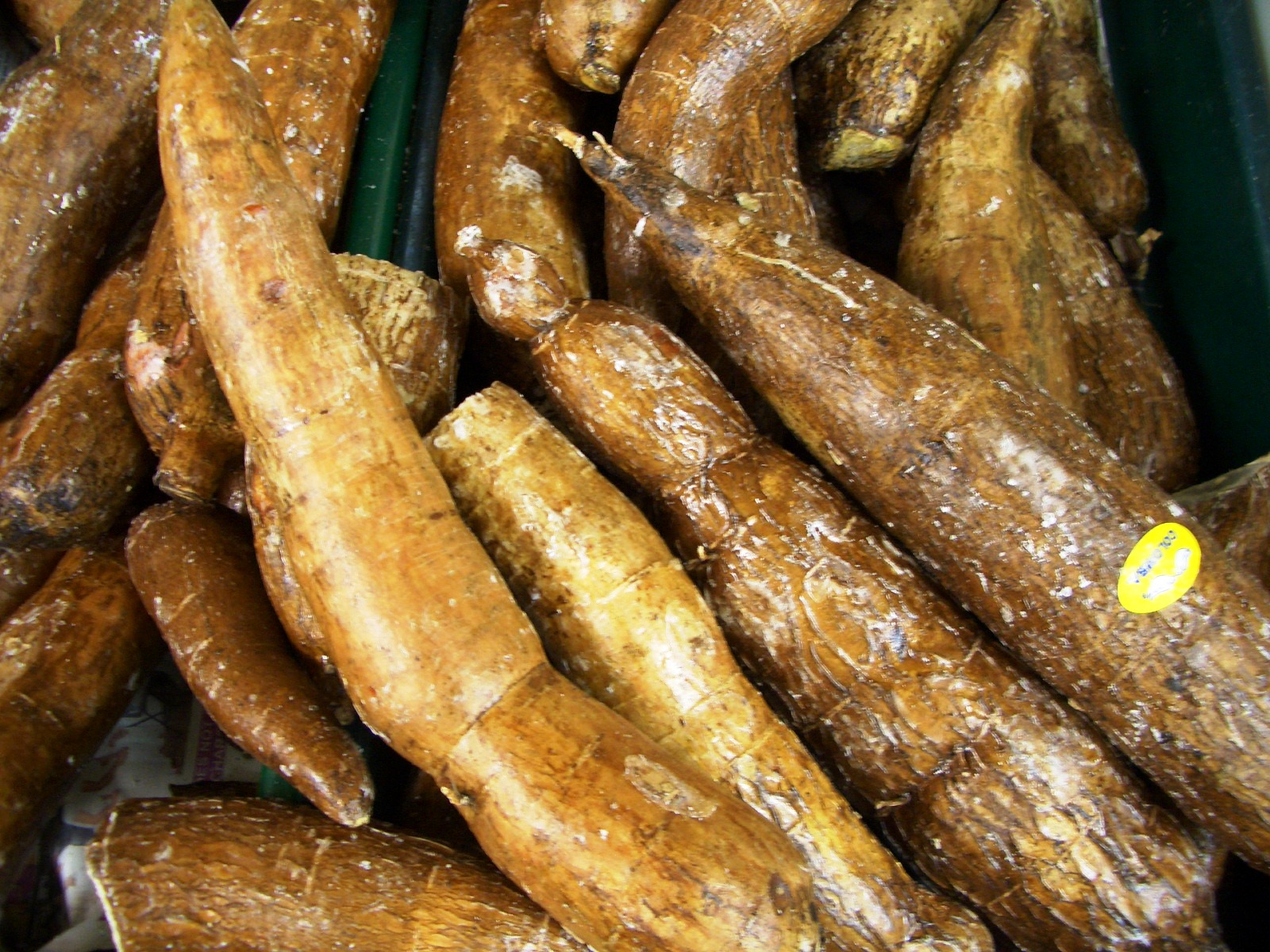 Bav's Kitchen: Cassava or Yuca
