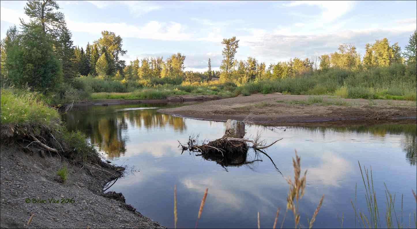 Northern Interior British Columbia: Evening At The Bulkley River ...