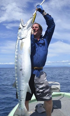 Big Fishes of the World: BARRACUDA GREAT (Sphyraena barracuda)