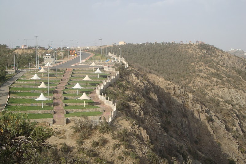 from the Arabian coast: Al-Baha landscape
