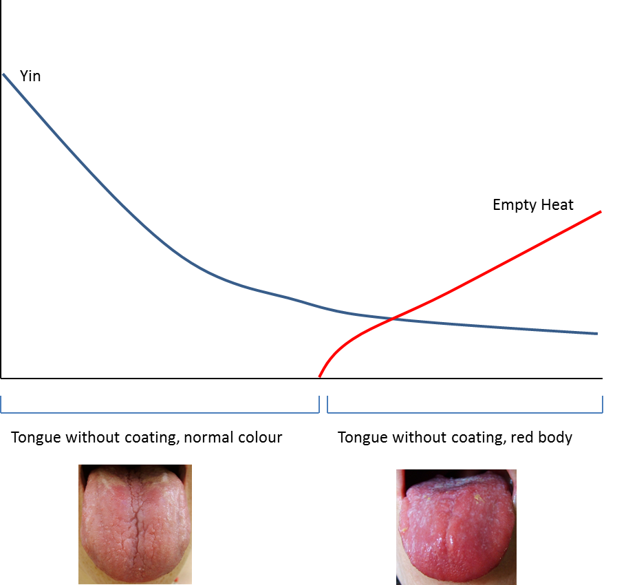 Maciocia Online: SPLEEN-YIN DEFICIENCY