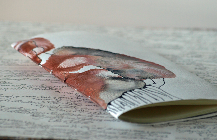 Dragonfly Dreamers: November 2011