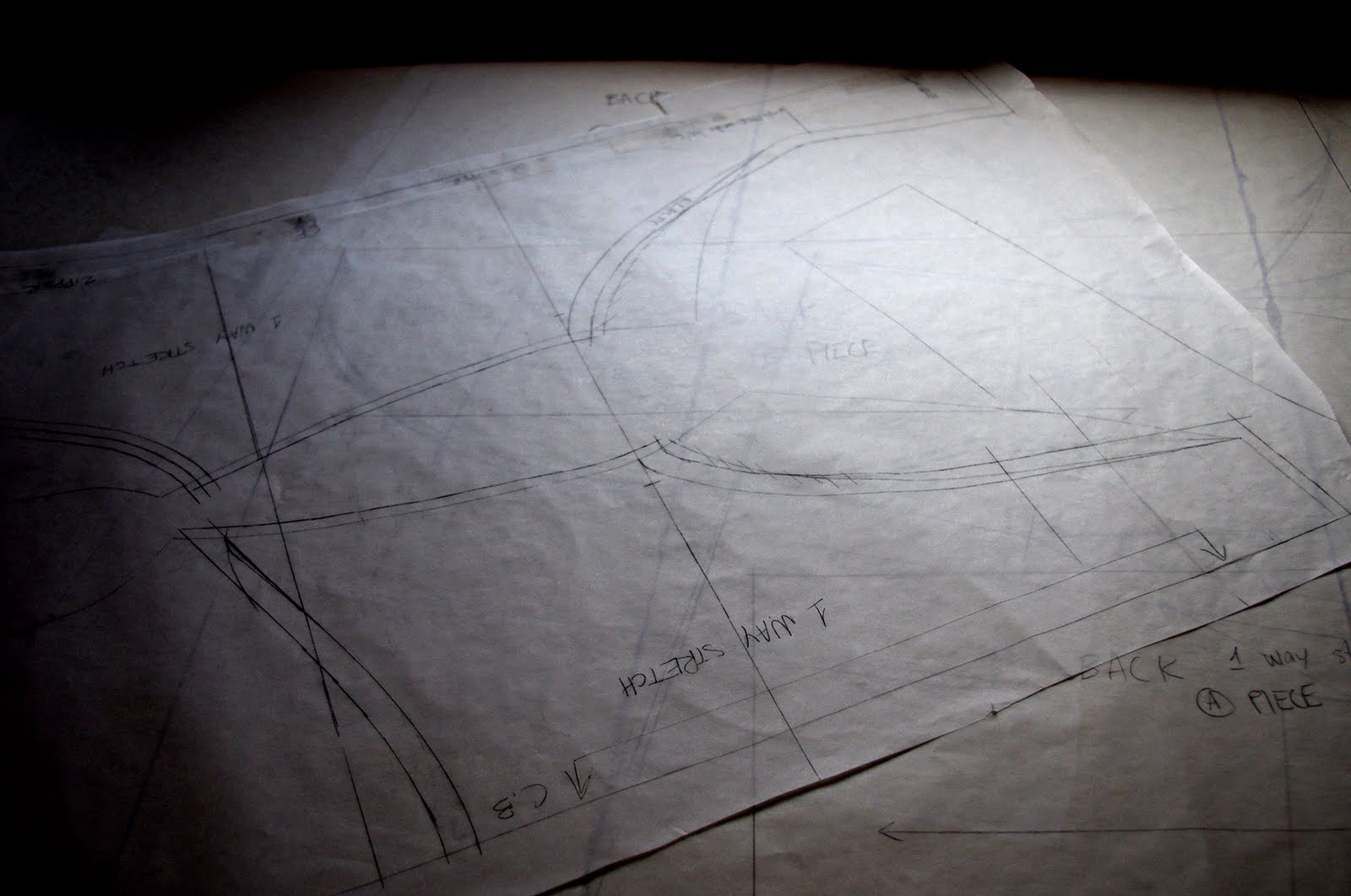 VERUCA IN CYNNER'S LAND | Veruca Cyn