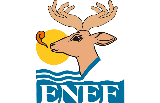 Práctica Profesional