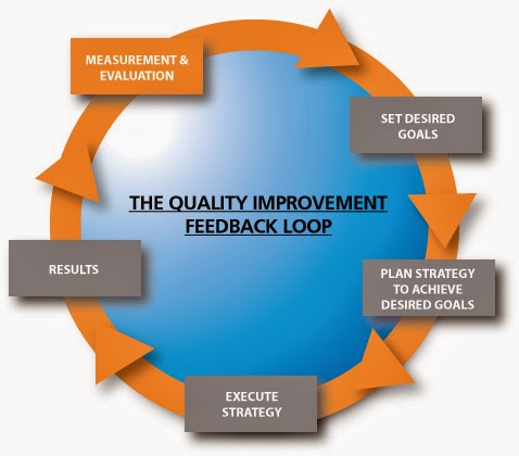 Quality Circle and Feedback Loops in Health Care: Application of PDCA ...