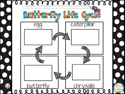 KFUNdamentals: The Very Hungry Caterpillar Interactive Re-telling Book ...