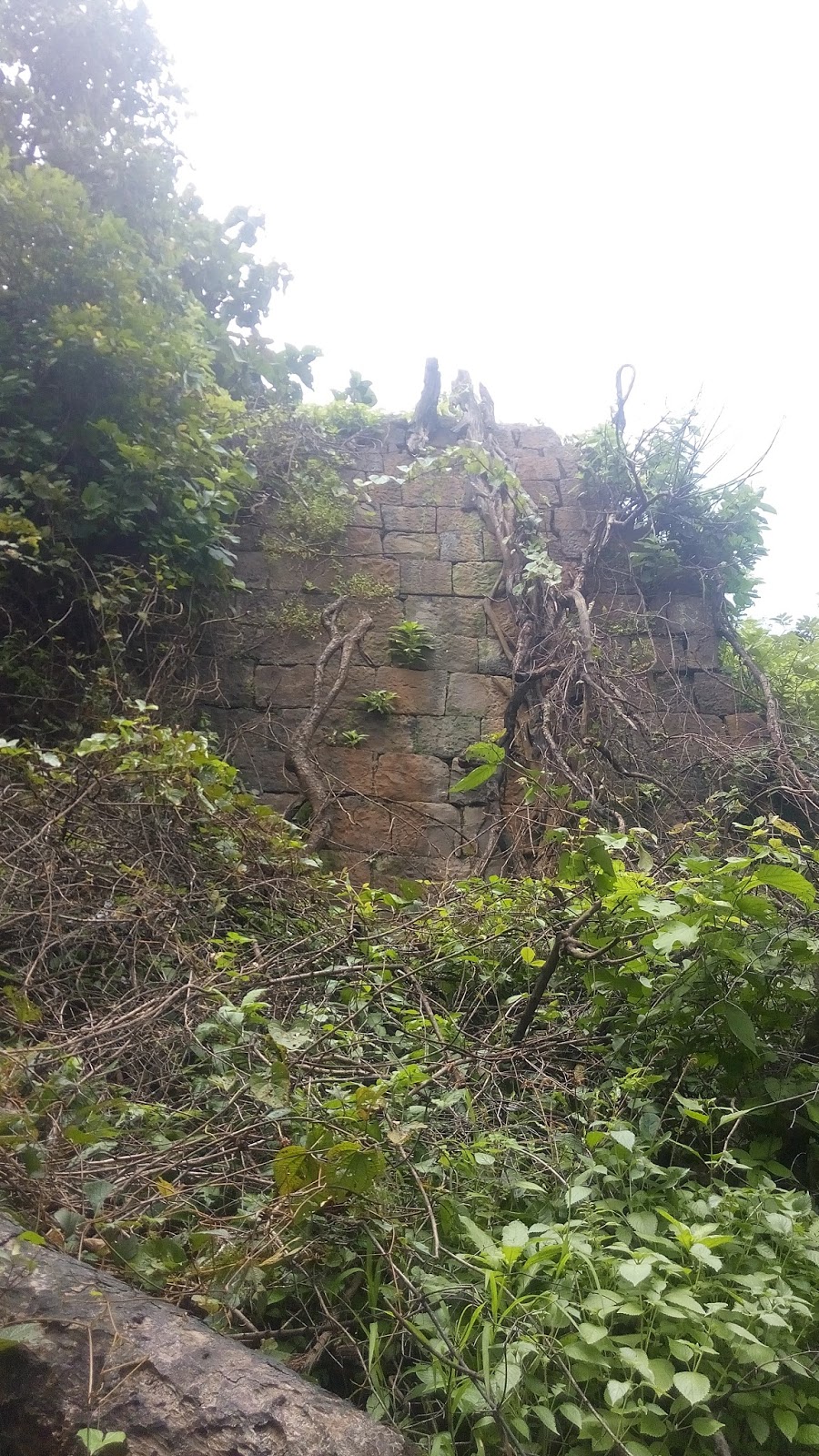 Avchitgad Fort near Roha in Raigad district in Maharashtra | The ...