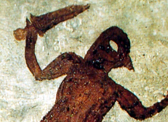 BELOSTICALLE: noviembre 2012