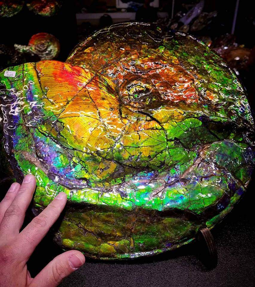 Types of Iridescent Gemstones & Minerals