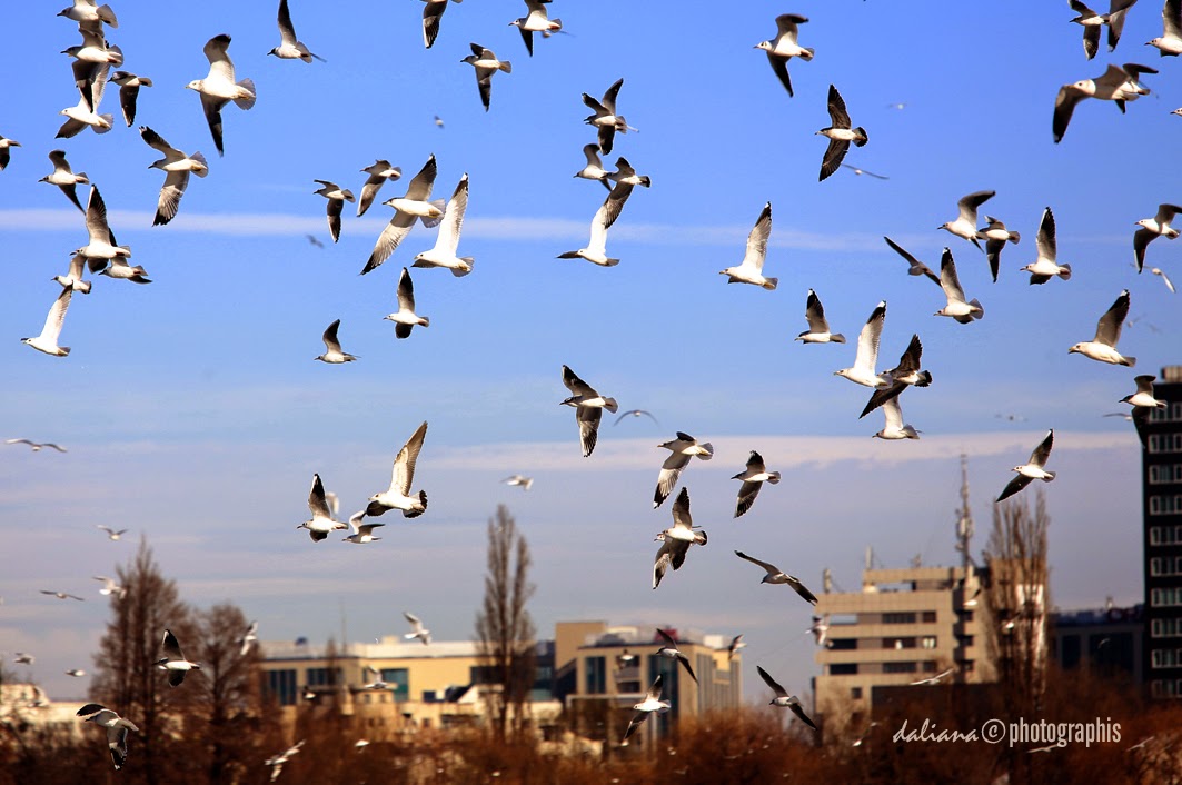 Photographis: Fly On - Coldplay