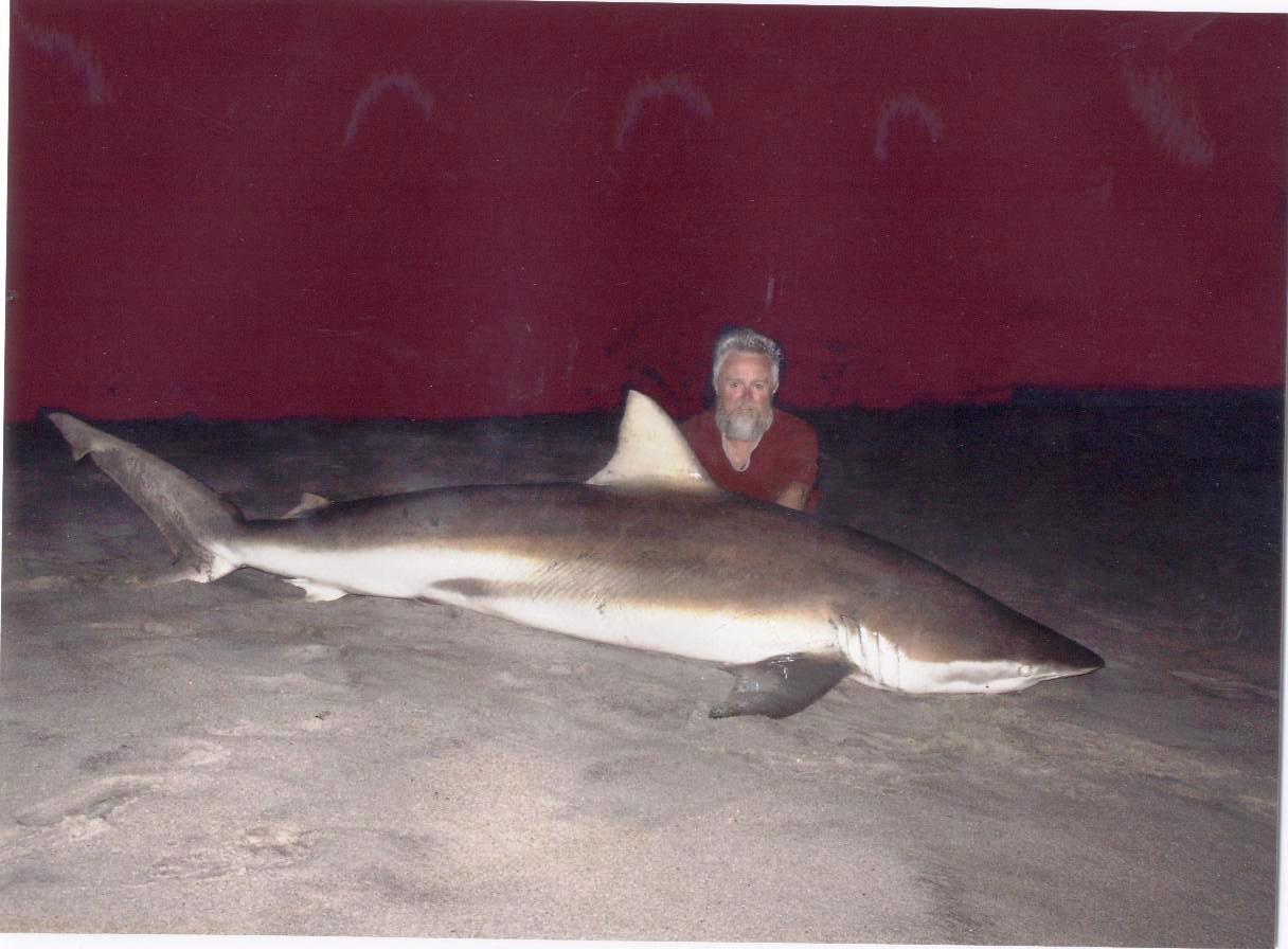 Namibia Sport Fishing : Shark Fishing in Namibia