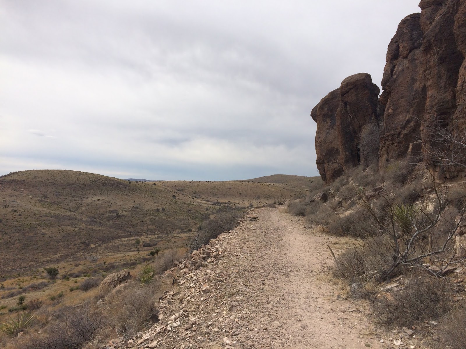 Leslie and David's Wanderings: 8 March 2019 Davis Mountains State Park