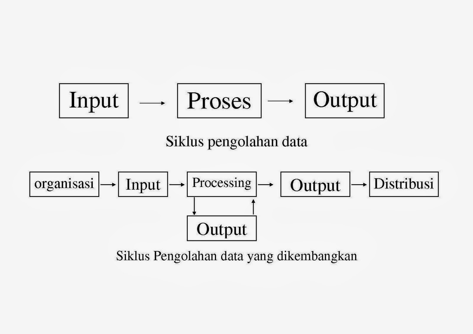 Extreme Experience: Januari 2014