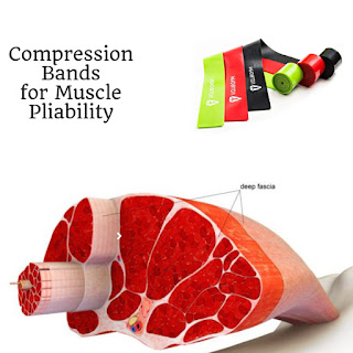 Tom Brady's Muscle Pliability | Live & Move Better with ValeoFM