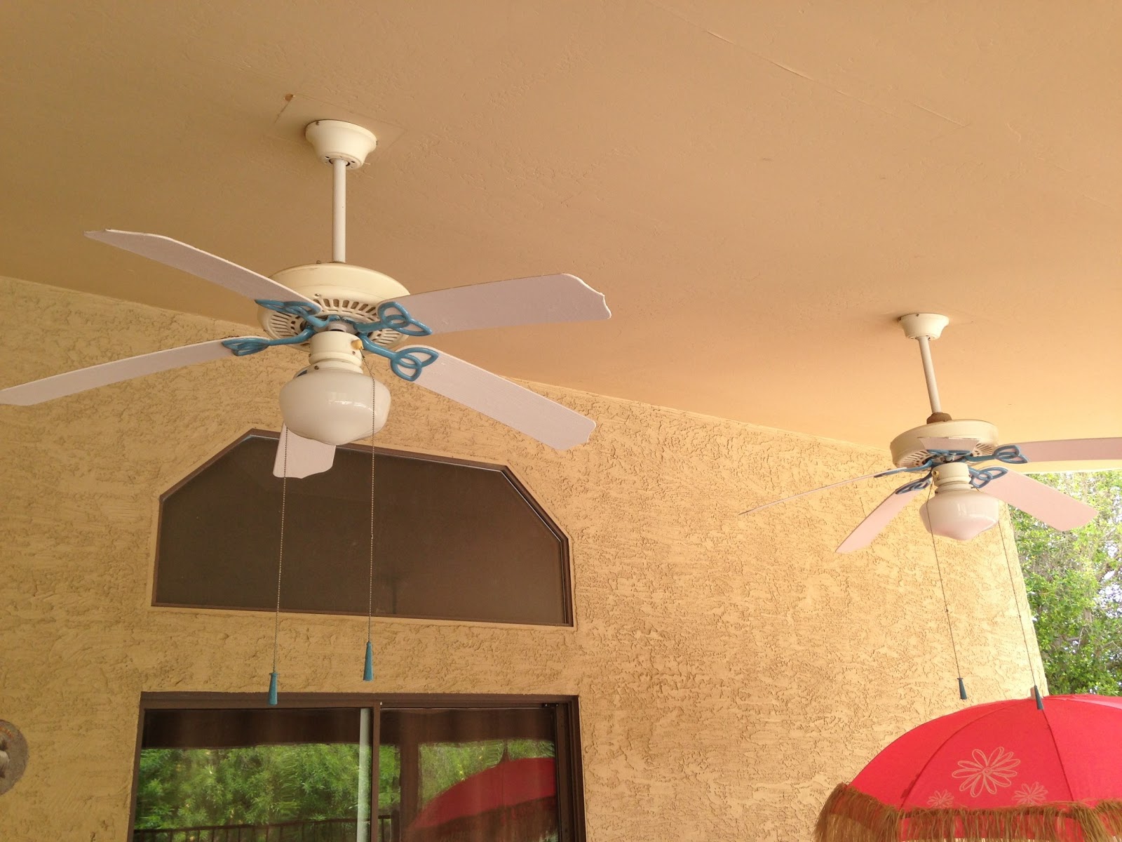 Barefoot Professional: Dusty, Old, Beasts...