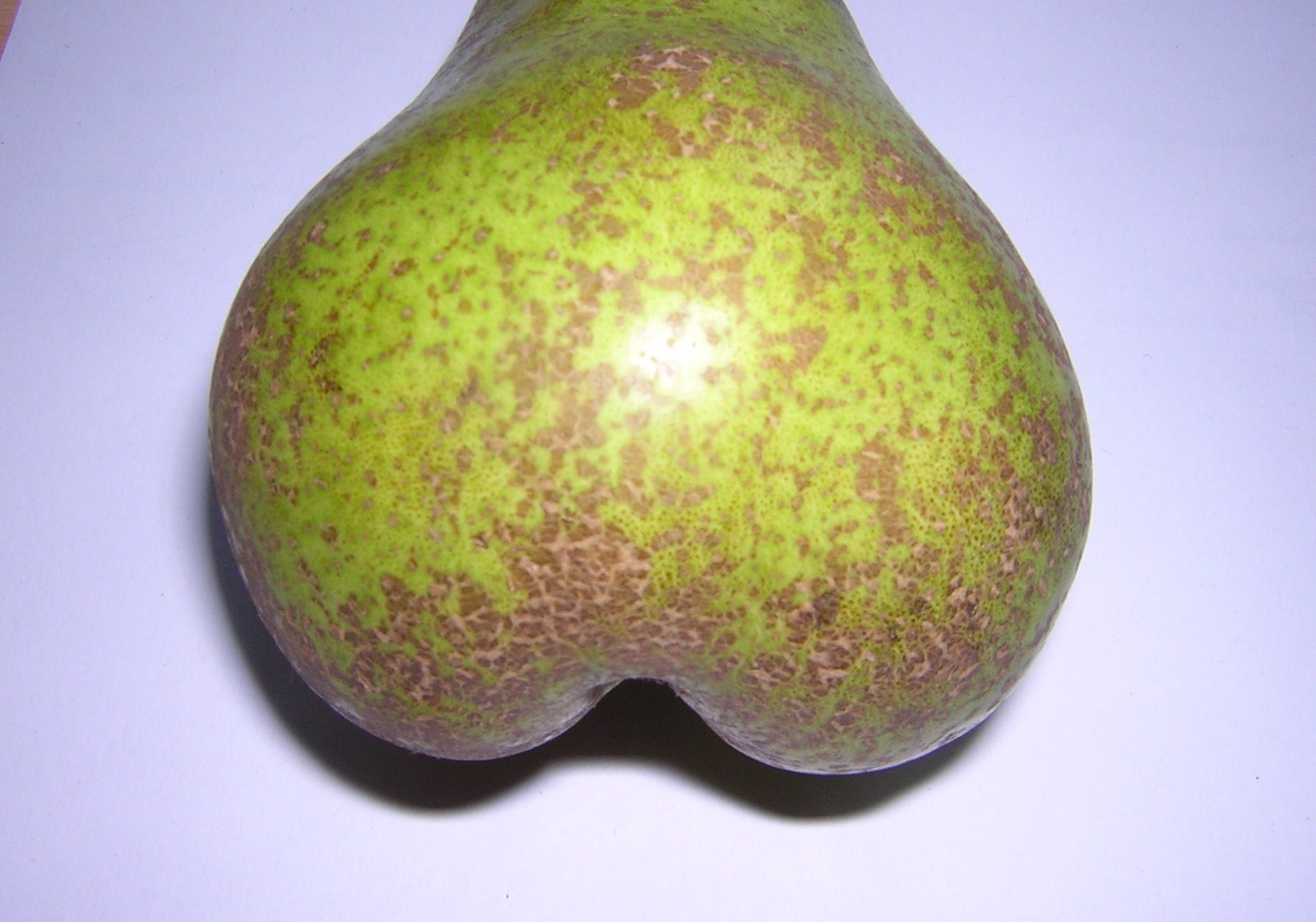 Mis experiencias mis imágenes: Pera de conferencia.