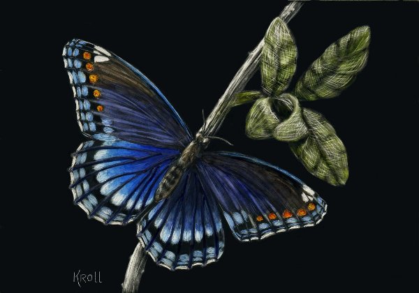 Butterfly Scratch Art