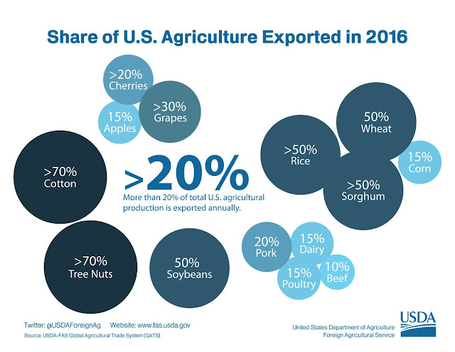 Graphic of U.S. Agricultural Crop Exports 2016 | Big Picture Agriculture