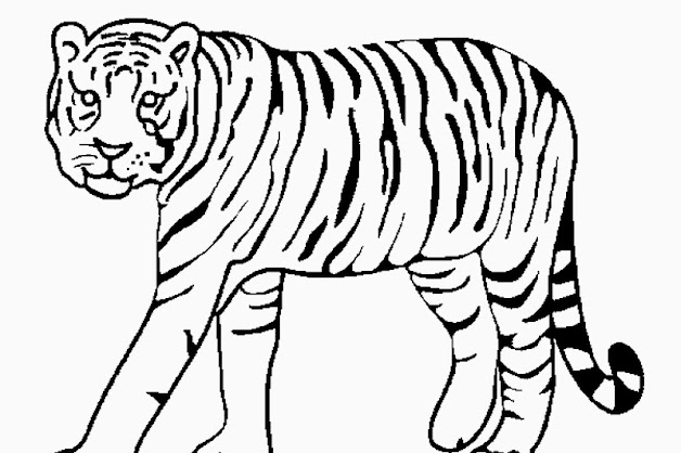 Bahan Gambar Mewarnai Harimau - Mewarnai Gambar Untuk Anak