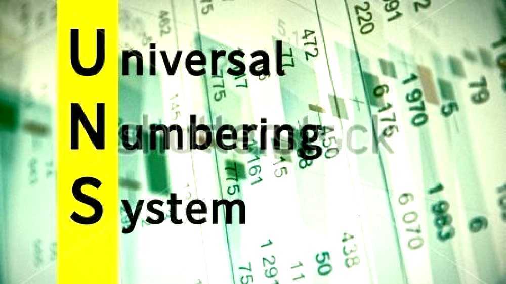 Universal Numbering System