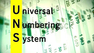 Universal Numbering System