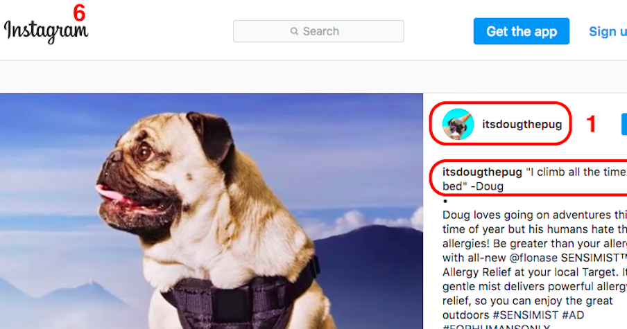 NEW MEDIA IN ART: How to Cite an Instagram Post