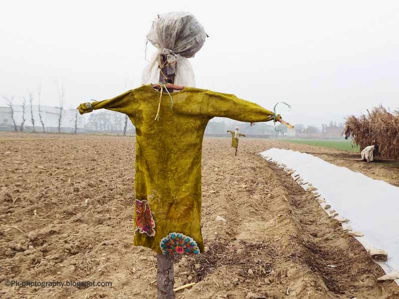 Scarecrows | Nature, Cultural, and Travel Photography Blog