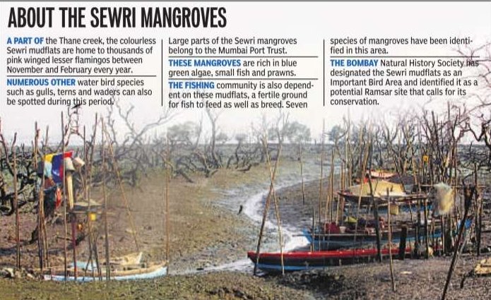 February 2012 - VOICEee: Education Employment and Entertainment