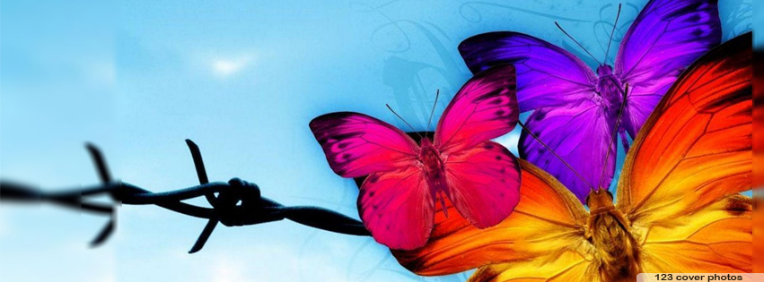 Butterflies Facebook Cover Page Quotes. QuotesGram - Butterfly Pictures ...