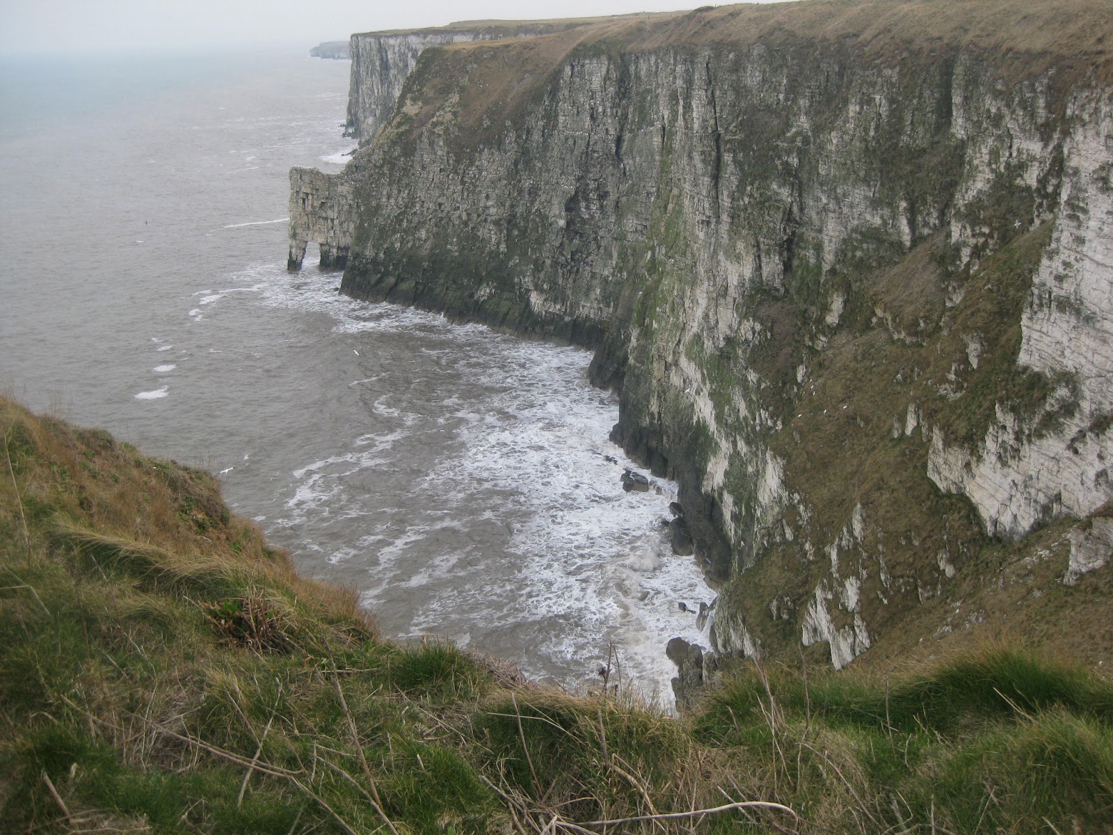 Needlecraft Corner: Bempton Cliffs Nr Flamborough/Bridlington