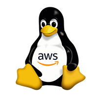 Primer vistazo a Amazon Linux ~ Blai Blog