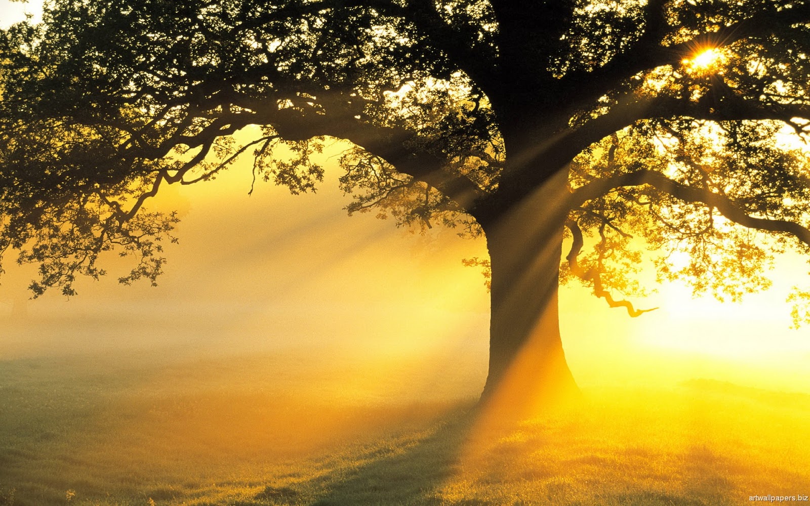 Together We Rise Age Experience And Religion Islam together-we-rise-age-experience-and-religion-islam