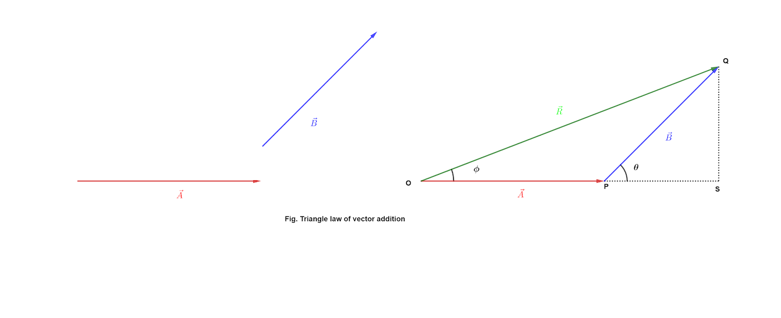 Scalars and Vectors | Complete notes | Important Questions | Class 11 ...