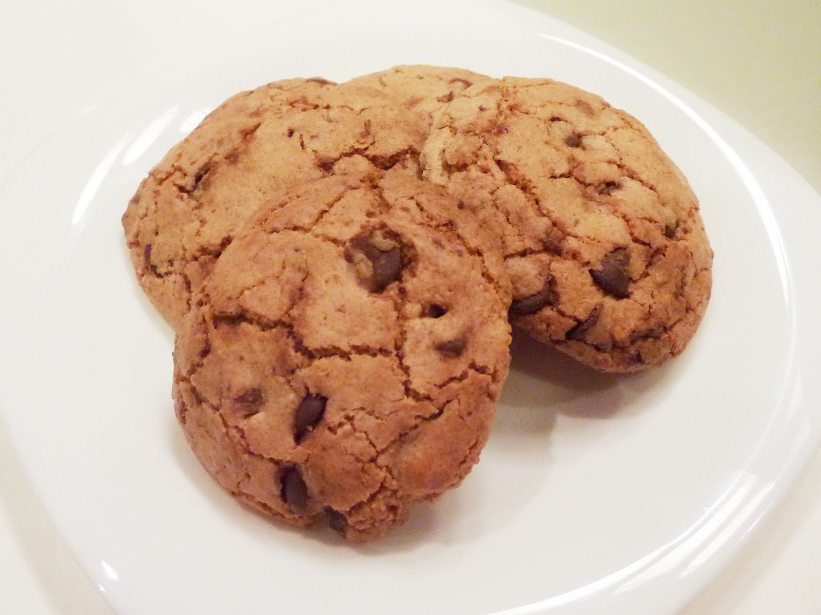 My Personal Food Journal: Chocolate Chip Hard Cookies