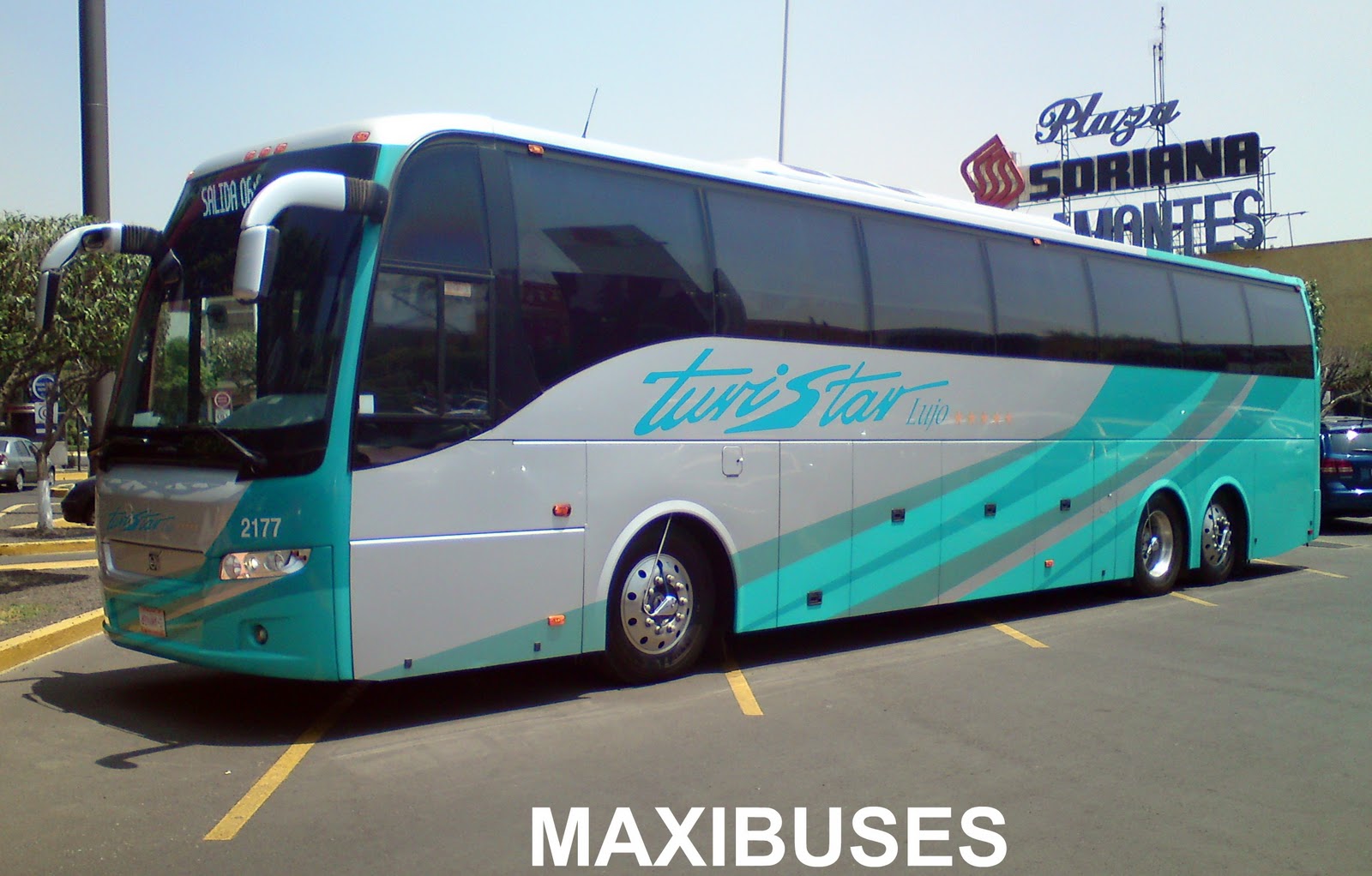 MAXIBUSES: ESPECIAL - TURISTAR LUJO