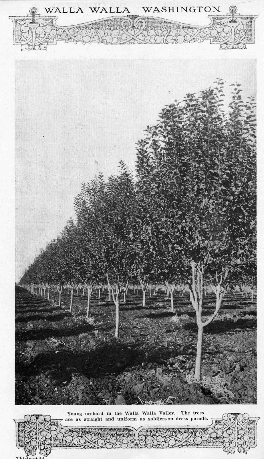 Bygone Walla Walla: vintage images of the City and County (and beyond ...